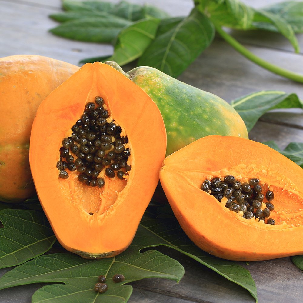 Papaya (Papita) - Farmers Family